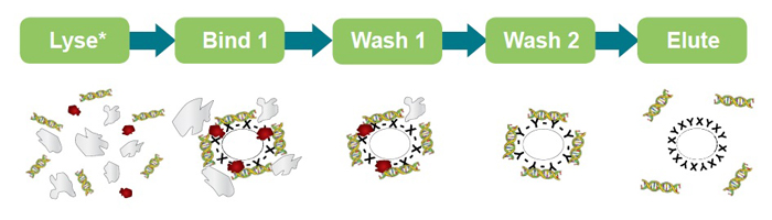 製品詳細ページ | プライムテック株式会社