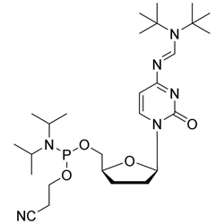 LGC Link ヌクレアーゼ耐性修飾 製品【型式詳細検索】