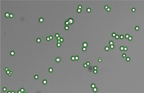 製品詳細ページ | プライムテック株式会社