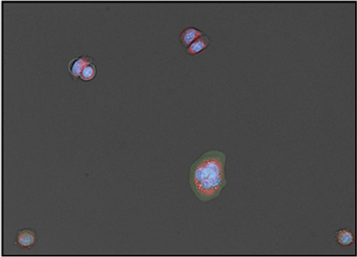 製品詳細ページ | プライムテック株式会社