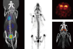腫瘍・がん研究のトータルソリューション｜プライムテック株式会社